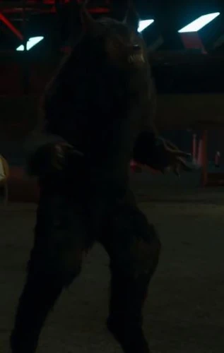 Toby | What We Do in the Shadows Wiki | Fandom