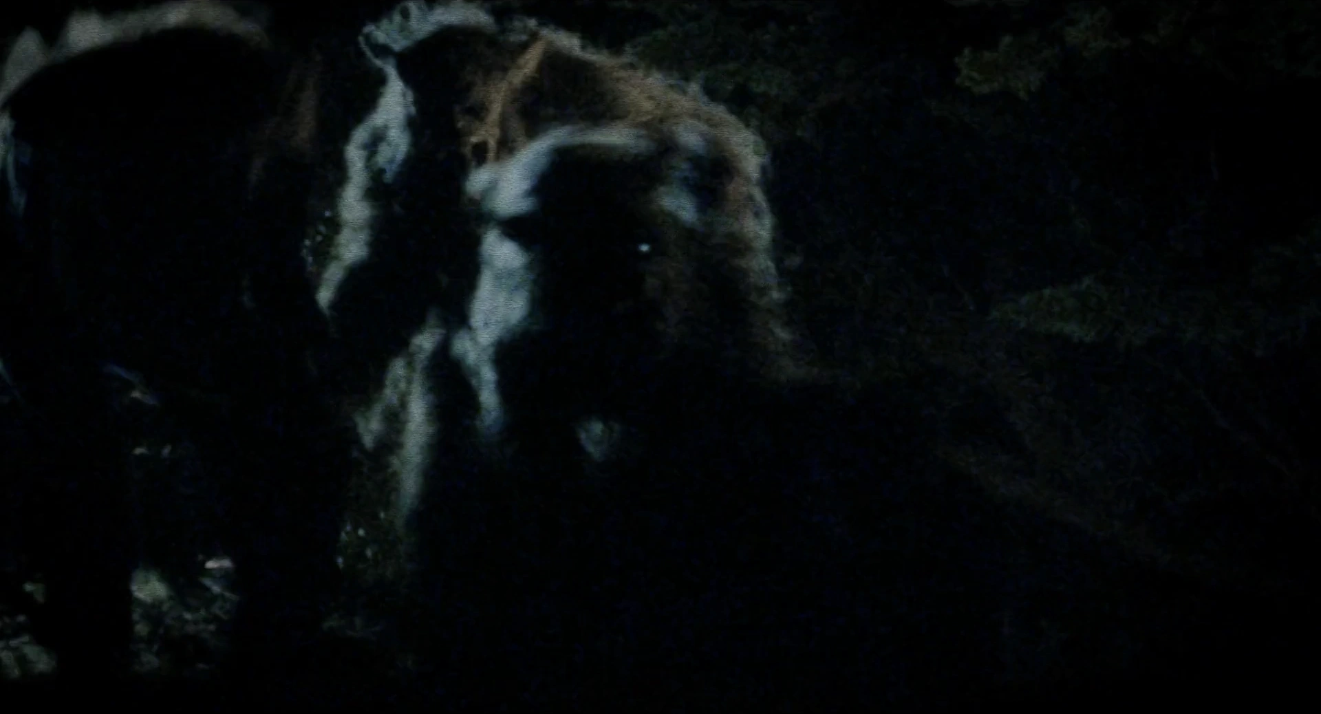 Werewolves | What We Do in the Shadows Wiki | Fandom