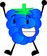 Blue Raspberry | When Objects Work (Object Show) v2 Wiki | Fandom