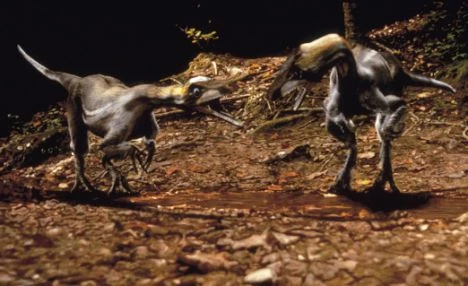 Suskityrannus hazelae | When Dinosaur Roamed America Wiki | Fandom