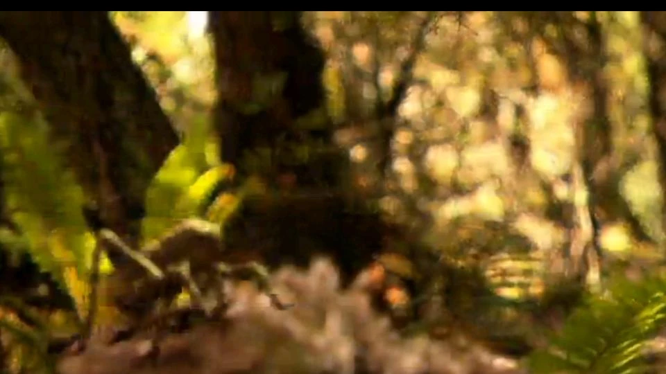 Locust | When Dinosaur Roamed America Wiki | Fandom