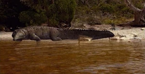 Rutiodon | When Dinosaur Roamed America Wiki | Fandom