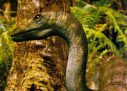 Anchisaurus | When Dinosaur Roamed America Wiki | Fandom