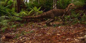 Anchisaurus | When Dinosaur Roamed America Wiki | Fandom