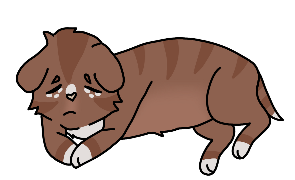 Thrushkitthrushfeather When Stars Fade Wiki Fandom