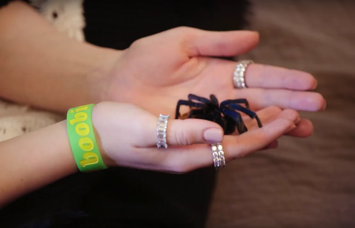 Cooli | Billie Eilish Wiki | Fandom