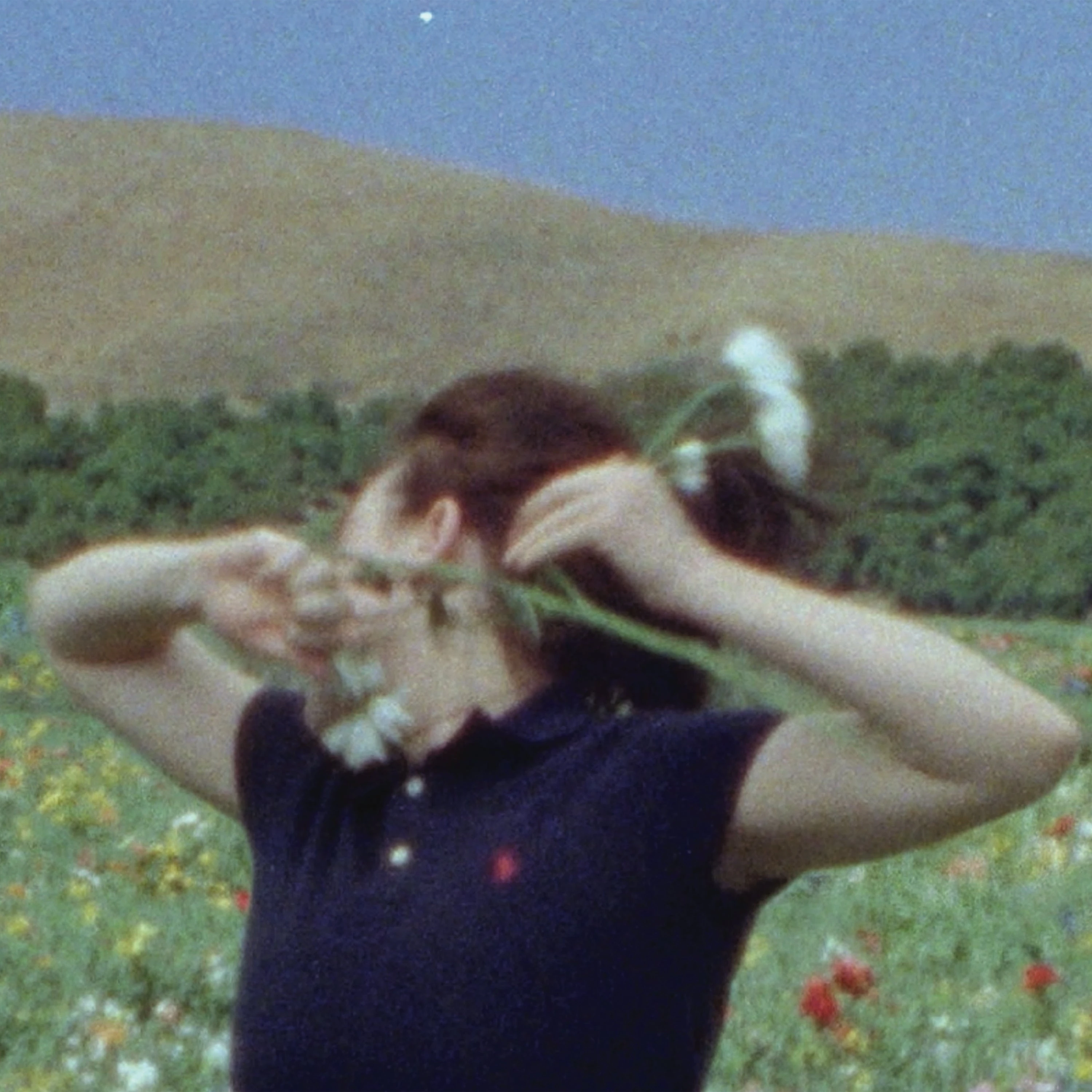 Who Made Birds of a Feather: Uncover the Surprising Creator - Birds