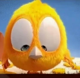 Chicky | Where's Chicky Wiki | Fandom