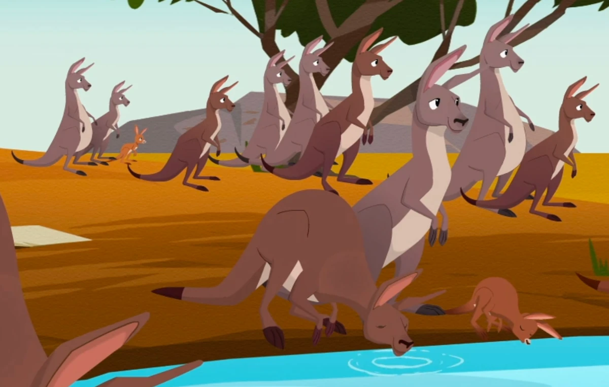 Kangaroos Where S Waldo Wiki Fandom