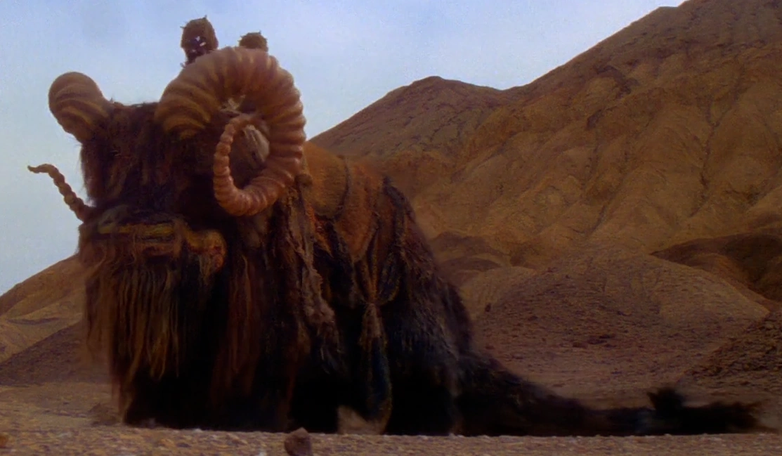 Bantha | Graf Archive | Fandom