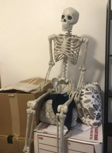 Jimothy | Whimsical Building Stuff Wiki | Fandom