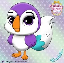 Waddles | Whisker Haven Wikia | Fandom