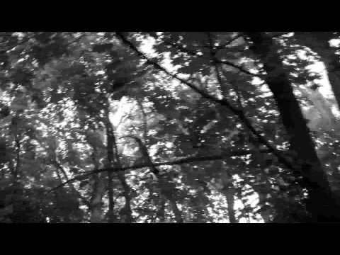 HideandSeek | Whispered faith Wikia | Fandom