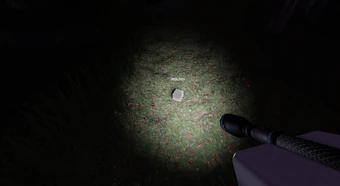 Mystery Box | Whispering Pines Wiki | Fandom