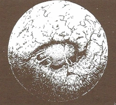 Ghroth | White Armour Hermes Wiki | Fandom