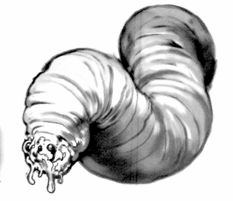 Elder of the White Sister | White Armour Hermes Wiki | Fandom