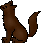 Hawkstorm | White Crow Warriors Wiki | Fandom