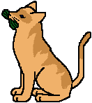 Tawnyfoot | White Crow Warriors Wiki | Fandom