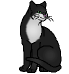 Whisker from Big Catfish | White Crow Warriors Wiki | Fandom