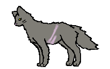 Colette | White Crow Warriors Wiki | Fandom