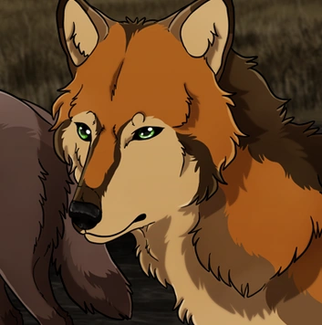 Unnamed Orange Wolf (AA) | Whitefall Wikia | Fandom