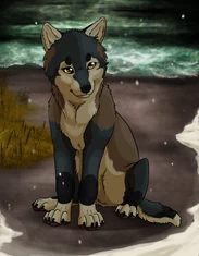 Sai | Whitefall Wikia | Fandom