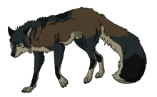 Sai | Whitefall Wikia | Fandom