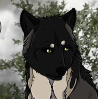 Zihark (Wanderer) | Whitefall Wikia | Fandom