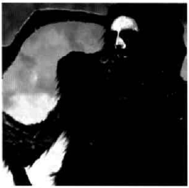 Ankou | White Wolf Wiki | Fandom