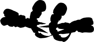 Ajaba | White Wolf Wiki | Fandom