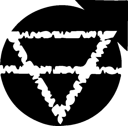 Category:Gargoyle (VTM) | White Wolf Wiki | Fandom