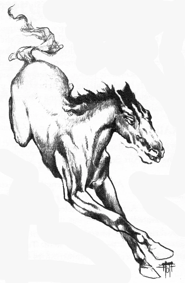 Night-Mare | White Wolf Wiki | Fandom