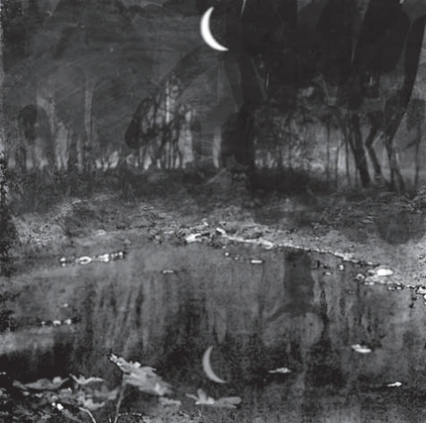 Steed's Pond | White Wolf Wiki | Fandom