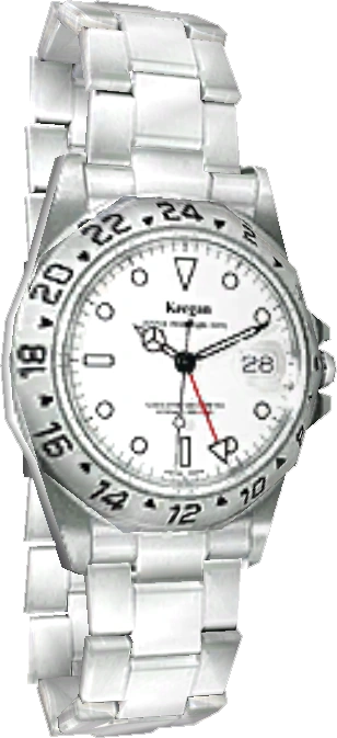 Item:Fancy Watch | White Wolf Wiki | Fandom