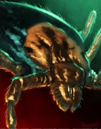 Tick (WTA) | White Wolf Wiki | Fandom