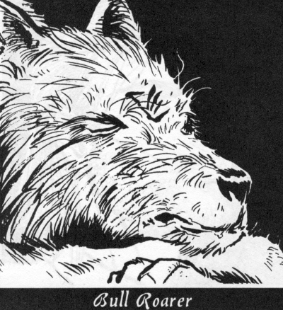 Bull Roarer | White Wolf Wiki | Fandom