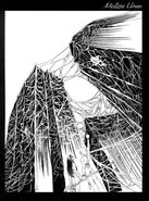 Umbra | White Wolf Wiki | Fandom