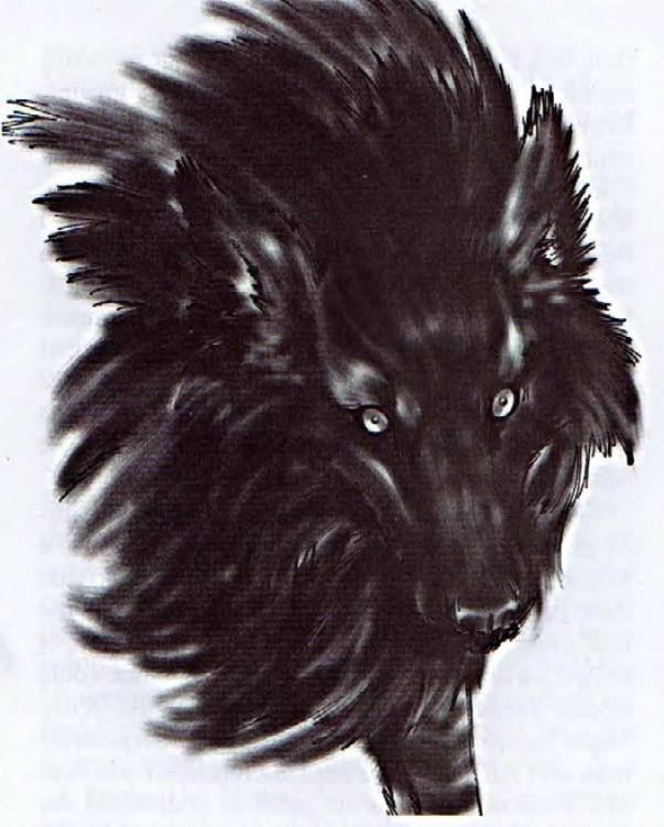 Black Shuck (WTA) | White Wolf Wiki | Fandom