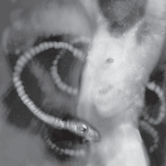 Worms of Gluttony | White Wolf Wiki | Fandom