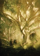 Caern | White Wolf Wiki | Fandom