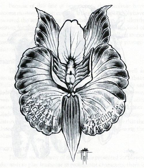 Forget-Me-Nots | White Wolf Wiki | Fandom