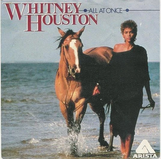 All At Once | Whitney Houston Wiki | Fandom