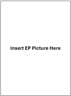 Animation Damnation Episode Template | The We Hate Movies Podcast Wiki ...