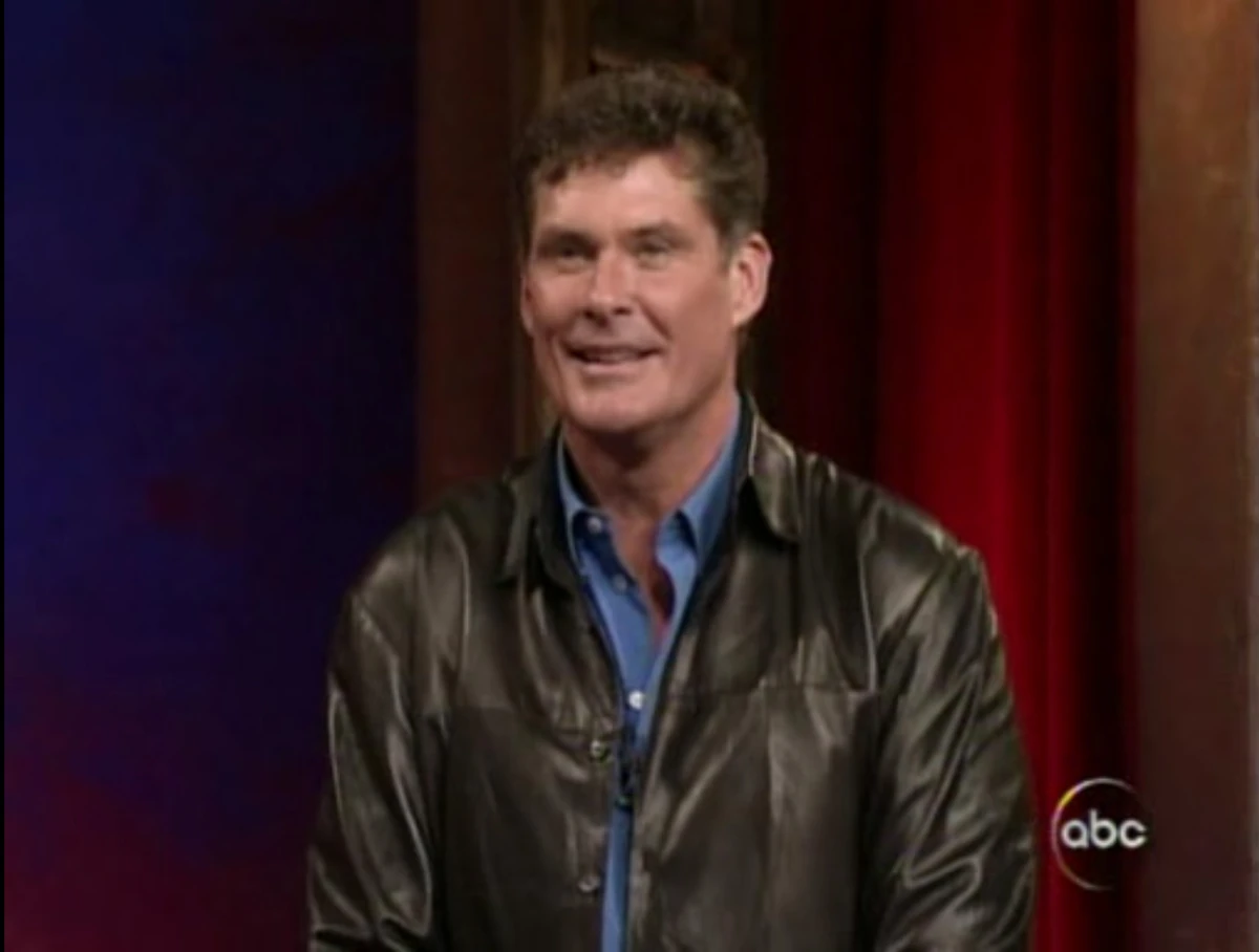 David Hasselhoff Young And The Restless