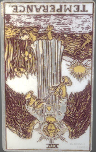 Temperance Reversed | Who's Lila Wiki | Fandom