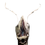 THE EMPRESS (character) | Who's Lila Wiki | Fandom