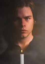 The Order | Whumpapedia Wiki | Fandom