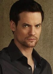 Nikita | Whumpapedia Wiki | Fandom