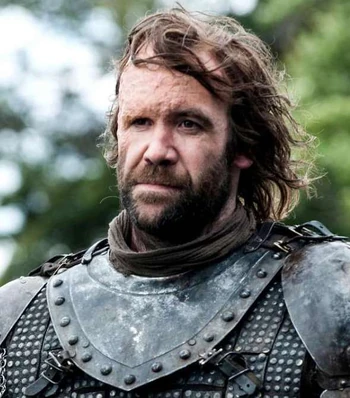 Sandor Clegane | Whumpapedia Wiki | Fandom