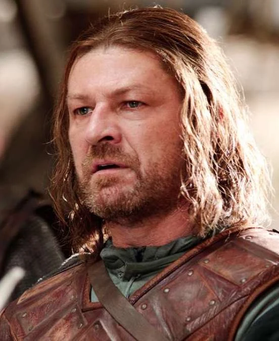Eddard Stark | Whumpapedia Wiki | Fandom